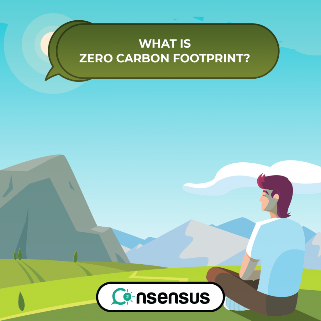 What is Zero Carbon Footprint? - Co2nsensus