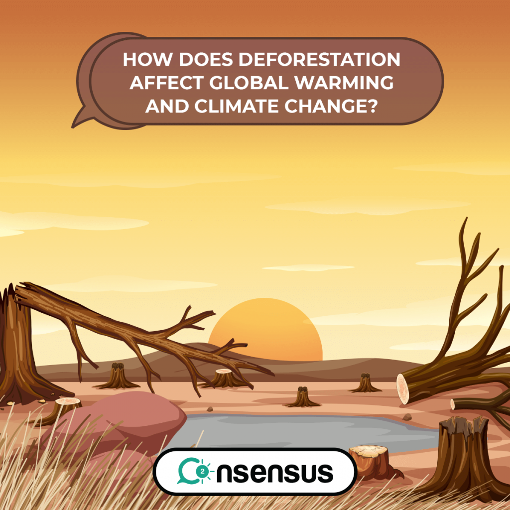 How Does Deforestation Affect Global Warming and Climate Change ...